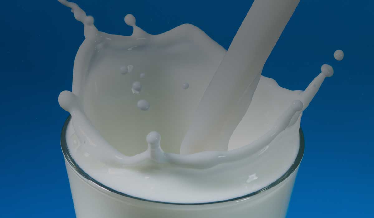 Semi-Bulk Systems | High Efficiency Powder Liquid Blending Automation